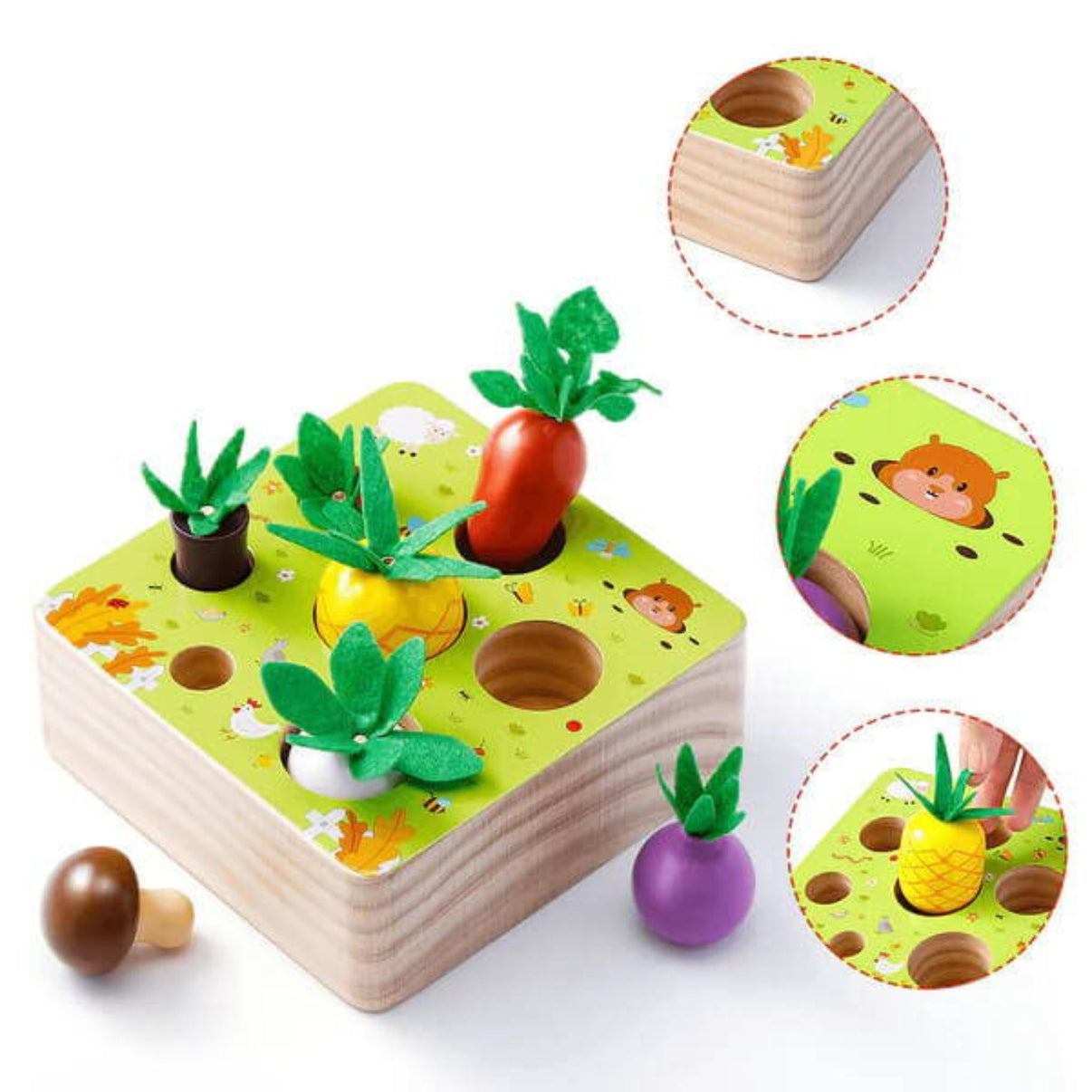 Montessori Vegetable Set